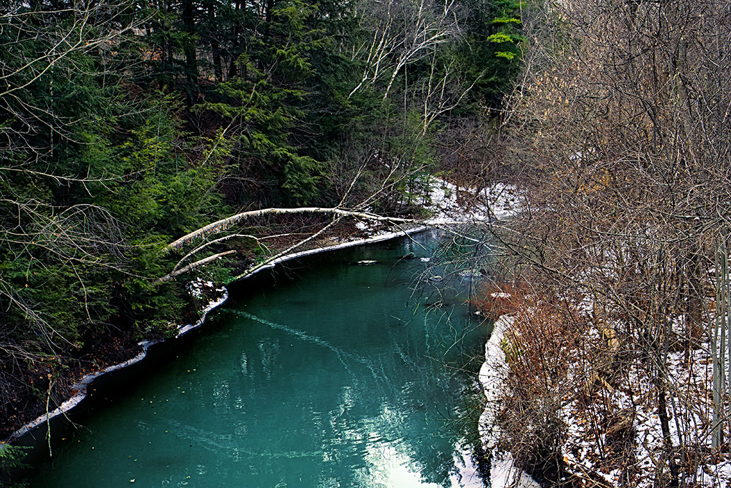 Century-Old Life Reborn In Toronto's Don River Restoration Project