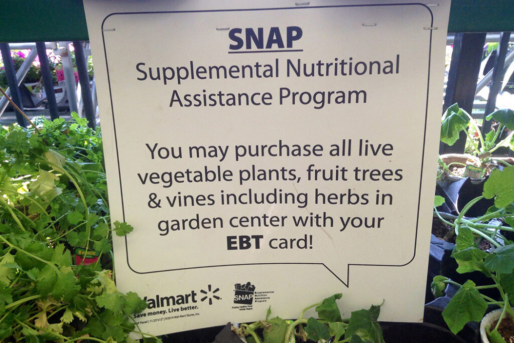 SNAP Benefits are Being Reinstated, but For How Long?